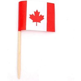 Canadian small flags sticks paper